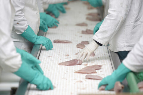 Vacuum Pump Systems For Poultry Processing: Tough and Economical ...
